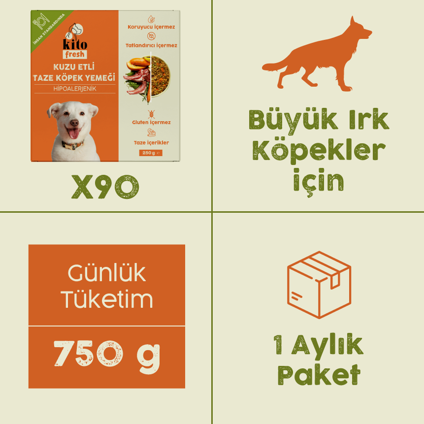 Kito | Evcil Hayvanlar İçin Sağlıklı, Yeni Nesil Mamalar ve Daha Fazlası